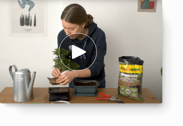 Plantura App: Dein grüner Daumen