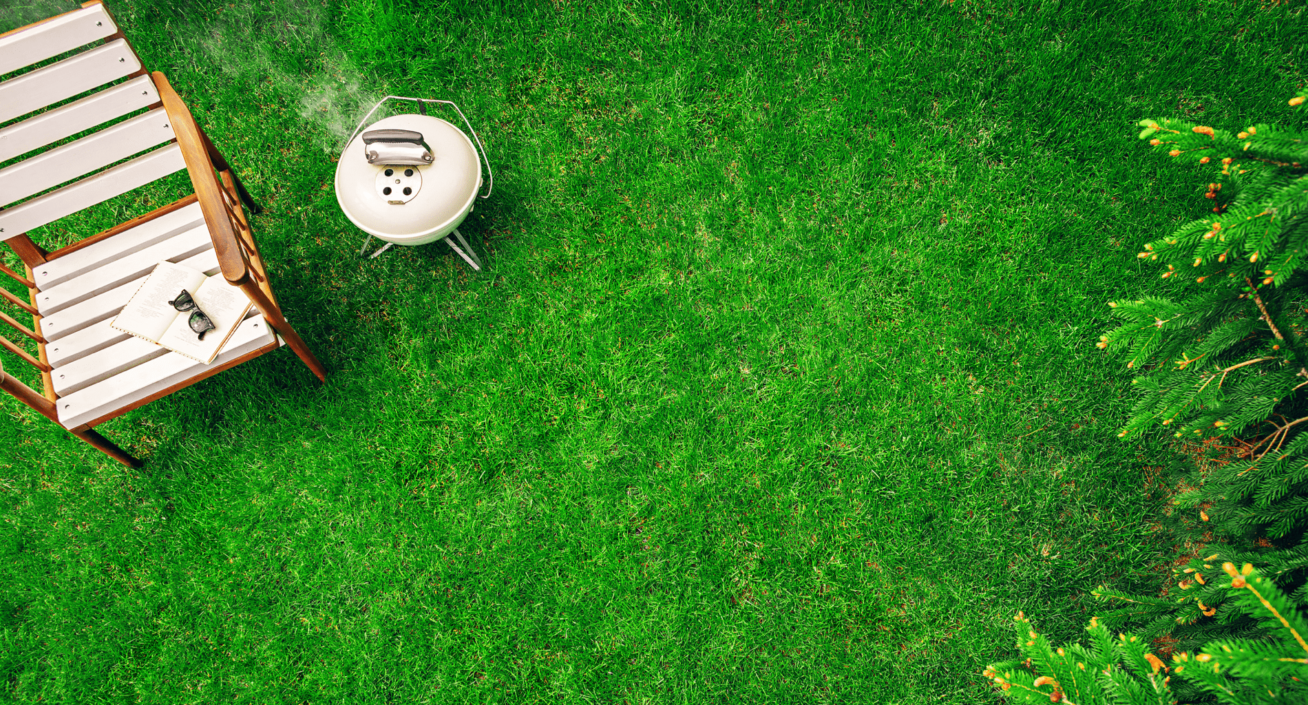 Plantura Rasen-Club: Ihr Traumrasen wird wahr