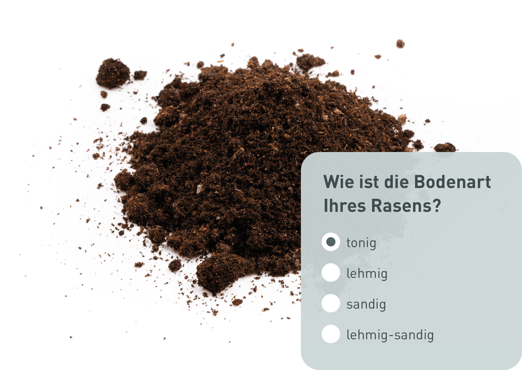 Plantura Rasen-Club: Ihr Traumrasen wird wahr