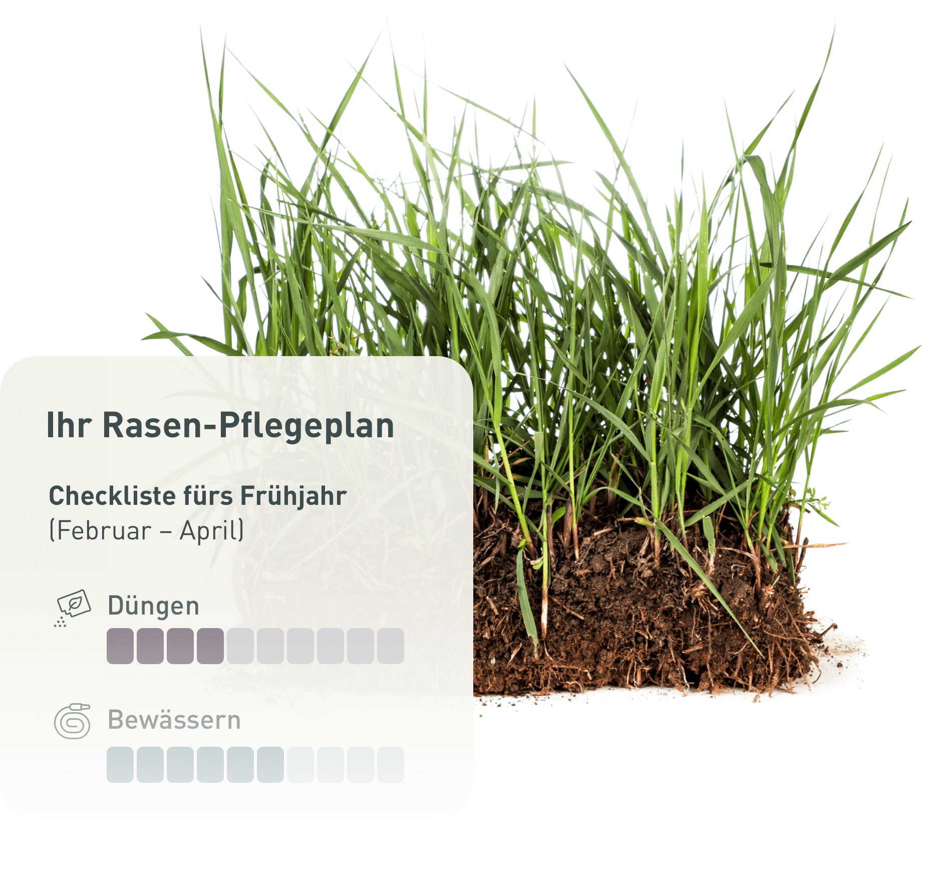 Plantura Rasen-Club: Ihr Traumrasen wird wahr