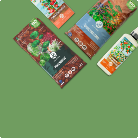 Plantura Magazin - Plantura