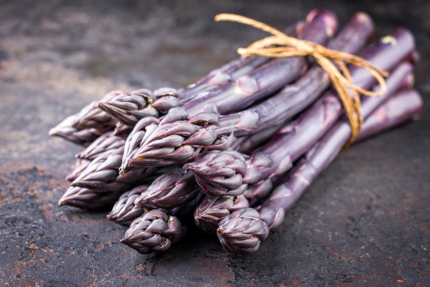 Spargel: Tipps zum Anbau im eigenen Garten - Plantura