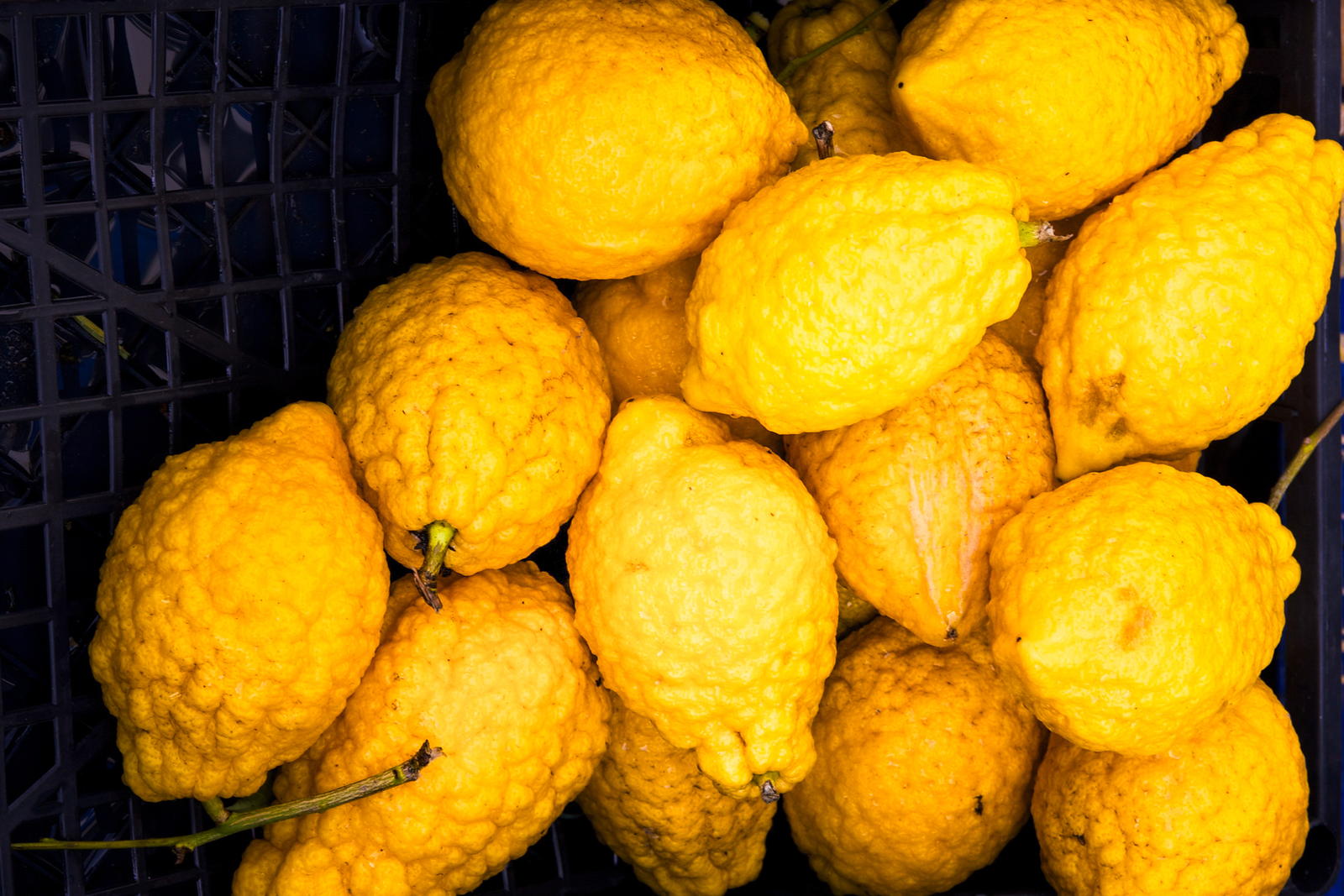Zitrusfrüchte: Besondere Orangen-, Limetten- & Zitronenarten