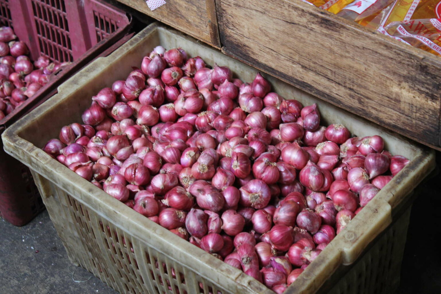Schalotten Im Garten Anbauen Und Ernten – ETKTD
