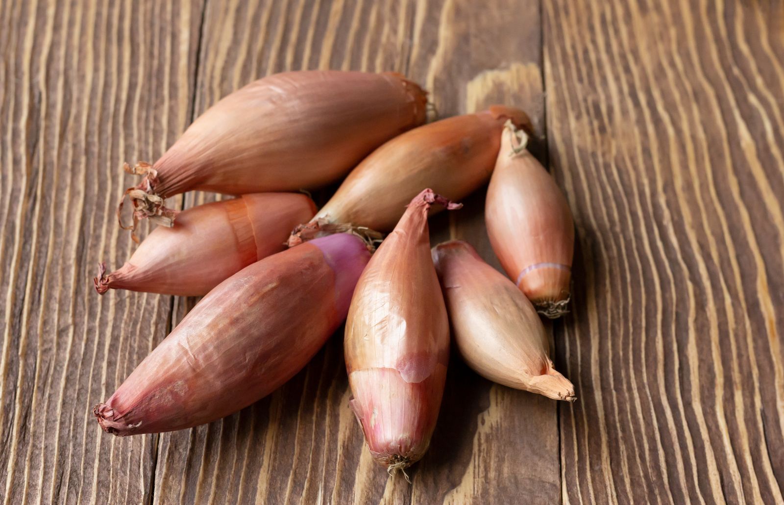 Unterschied zwischen Lauch, Porree & Zwiebeln? - Plantura