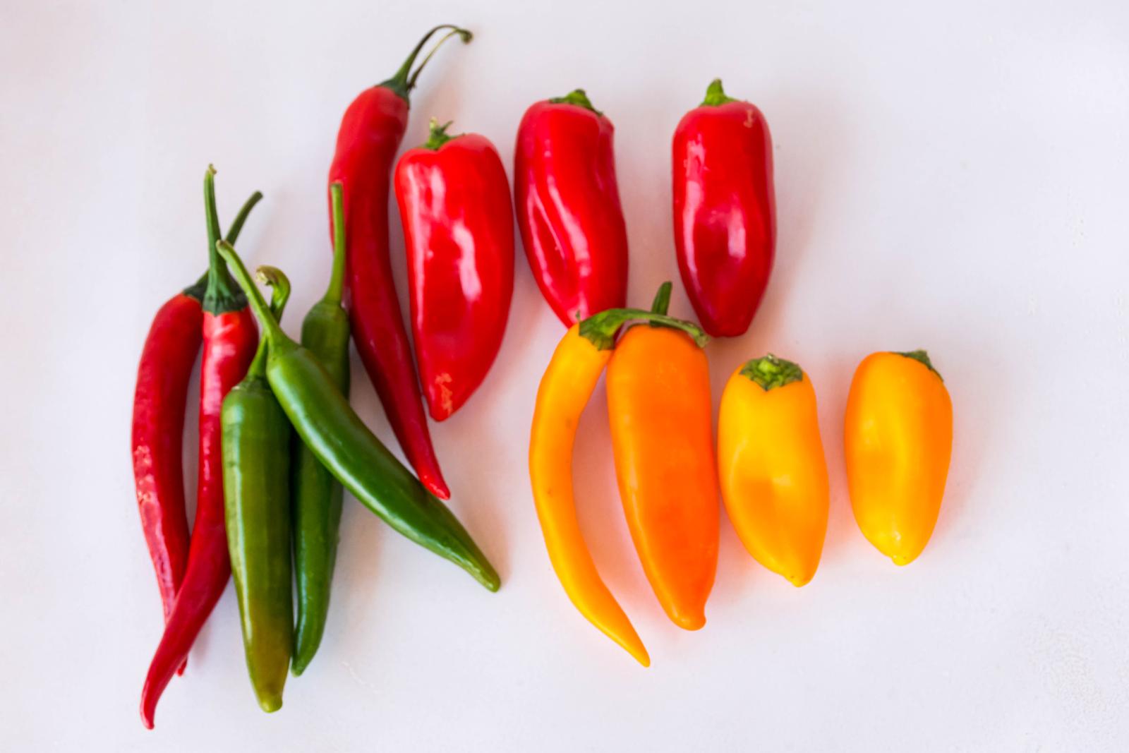 Chilisorten: Die besten scharfen & milden Chilis - Plantura