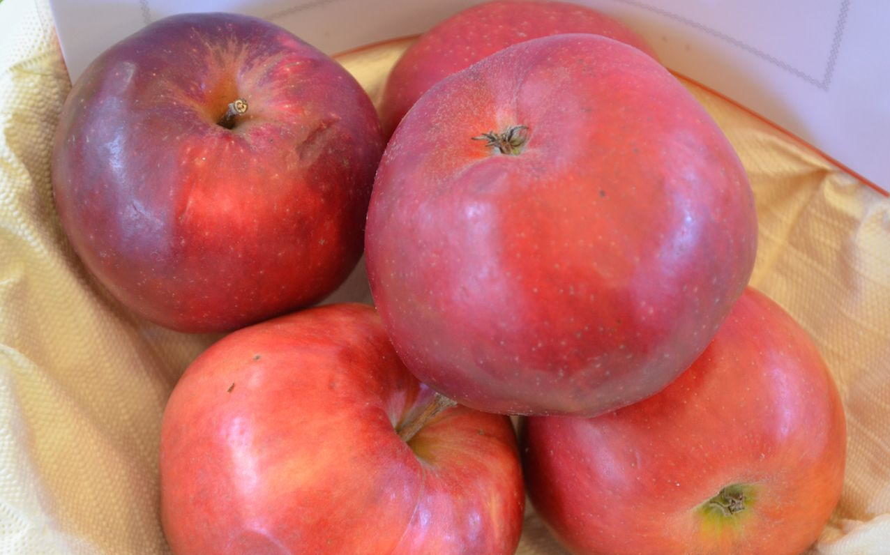 Alte Apfelsorten: 50 altbewährte, süße & saure Sorten