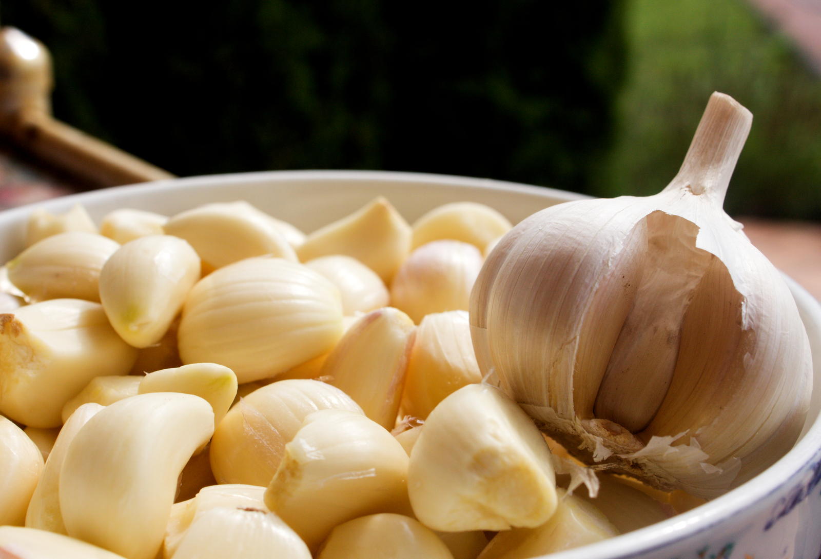 Knoblauch Gegen Trauermã¼cken