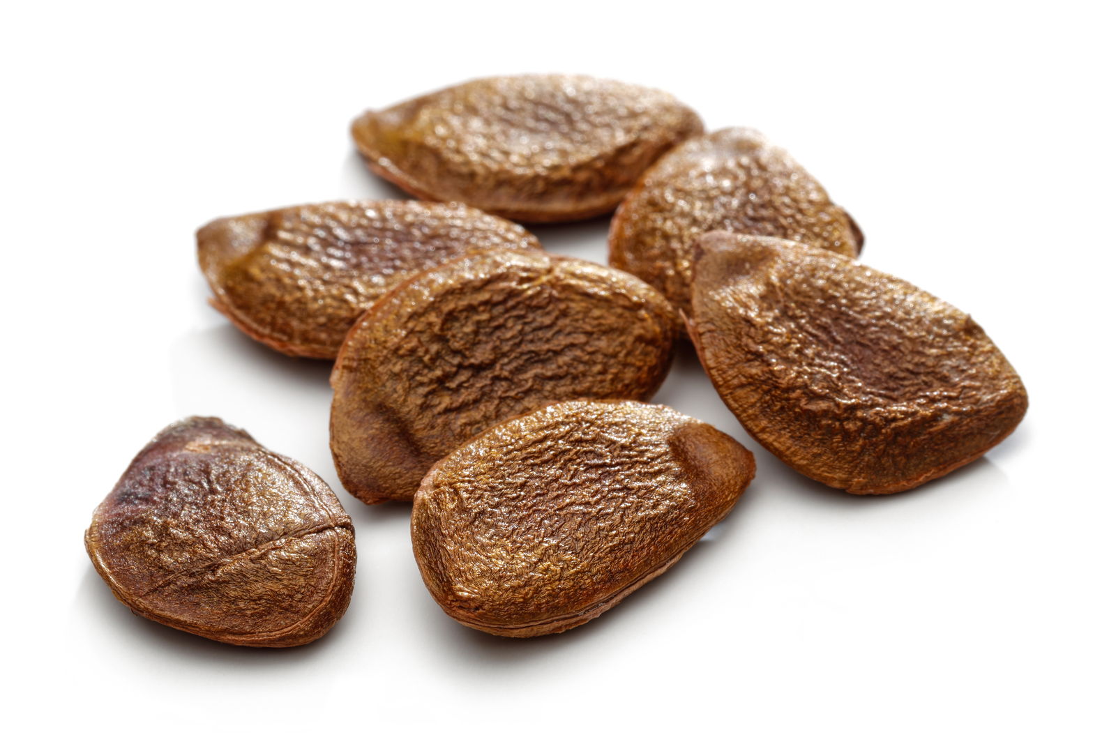 Kaki Samen Kaufen
