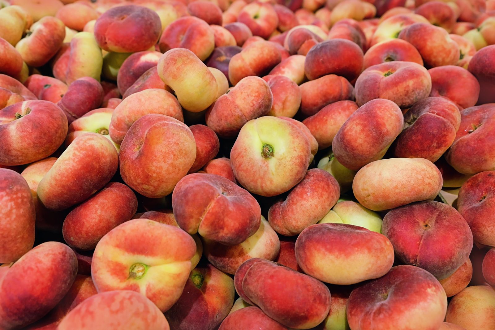 Pfirsichsorten: Unsere 20 beliebtesten - Plantura