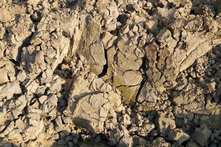 Ton Schluff Sand Kies: Schwach Toniger Sand Bodenarten – Limmerkoll