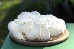 Rettich-Sorten: Die besten für den Anbau - Plantura