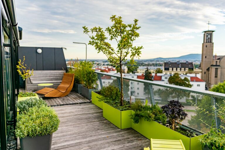 Luxus Apfelbaum Fur Den Balkon Bild