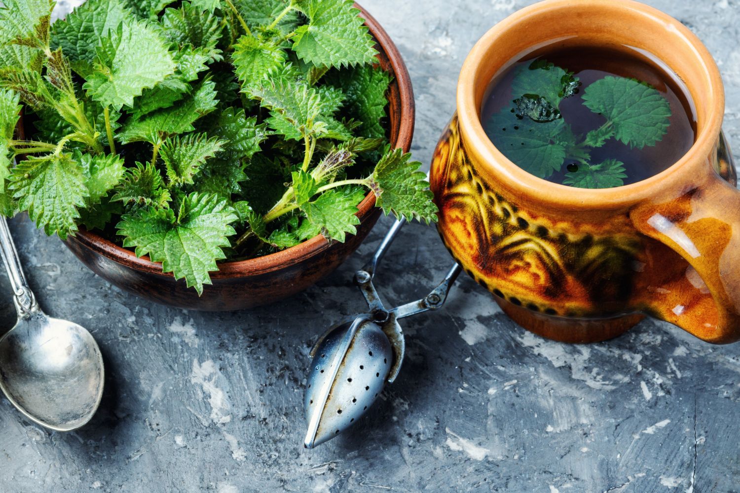 Brennnesseltee: Wirkung & selber machen - Plantura